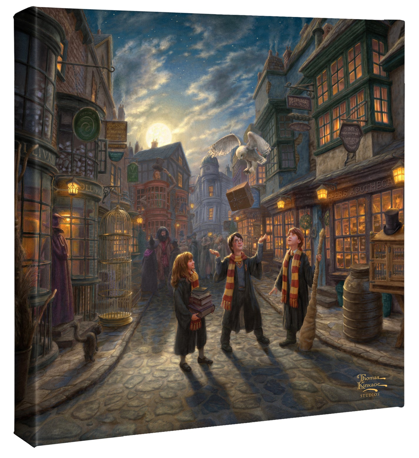 Harry Potter™ Diagon Alley™ - 14" x 14" Gallery Wrapped Canvas – Thomas ...