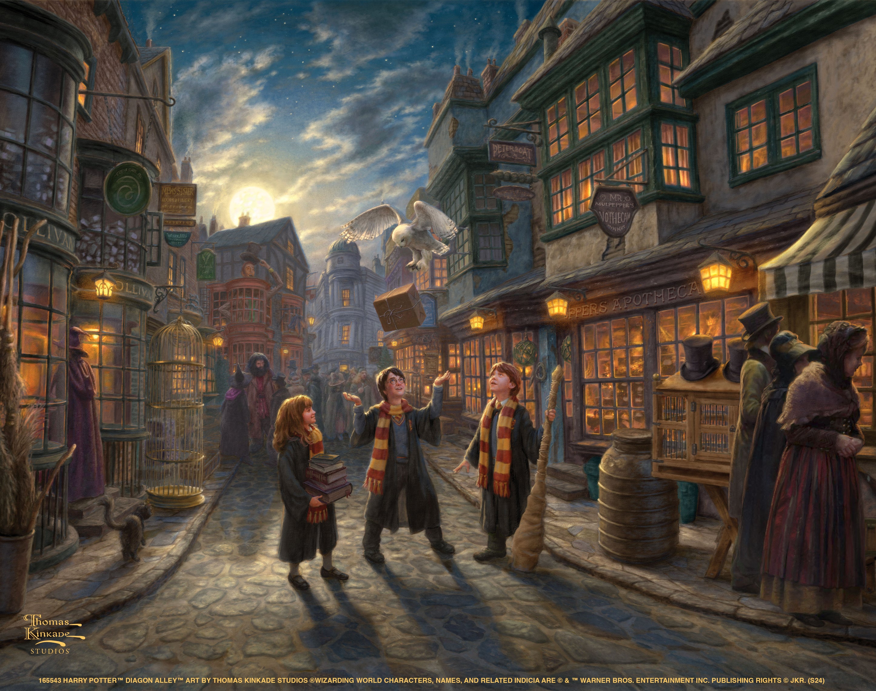Harry Potter™ Diagon Alley™ - Art Prints – Thomas Kinkade Studios