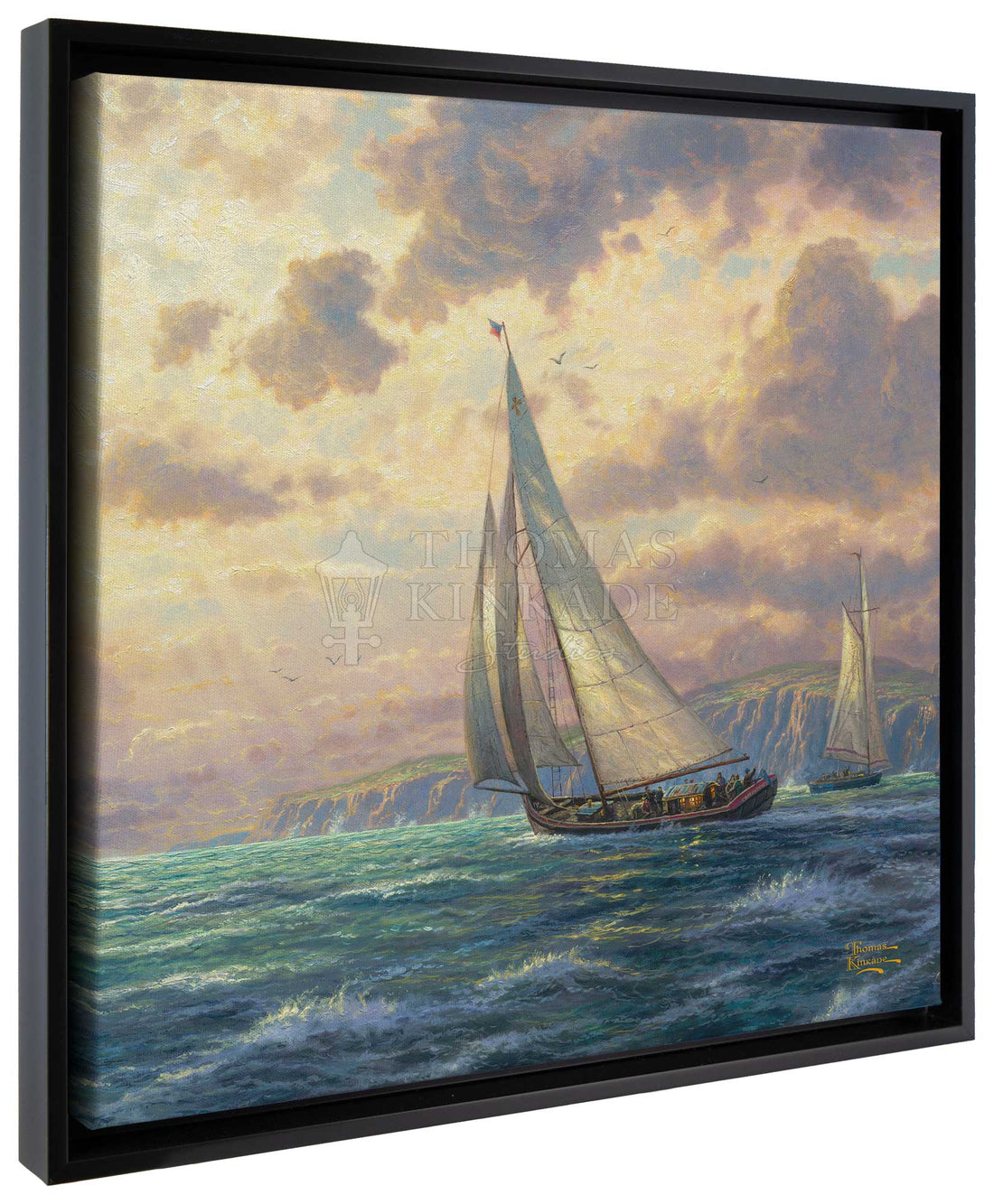 New Horizons - 20" x 20" Gallery Wrapped Canvas (Onyx Black Frame ...